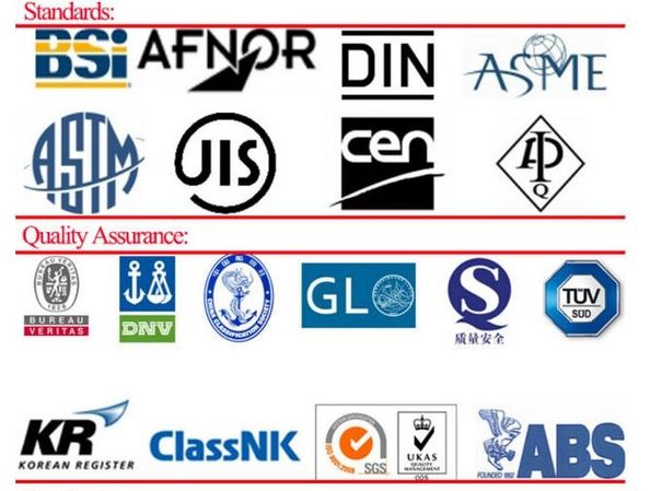 dn15 din 2986 Forged Pipe Fittings , stainless steel npt threaded half ...